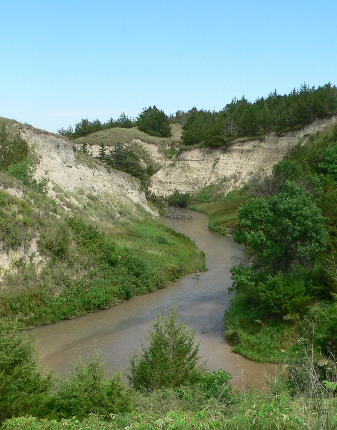 River Adventures| Dismal River | Tanking
