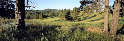 Ten Reasons Why You NEED To The Visit Nebraska National Forest Bessey ...